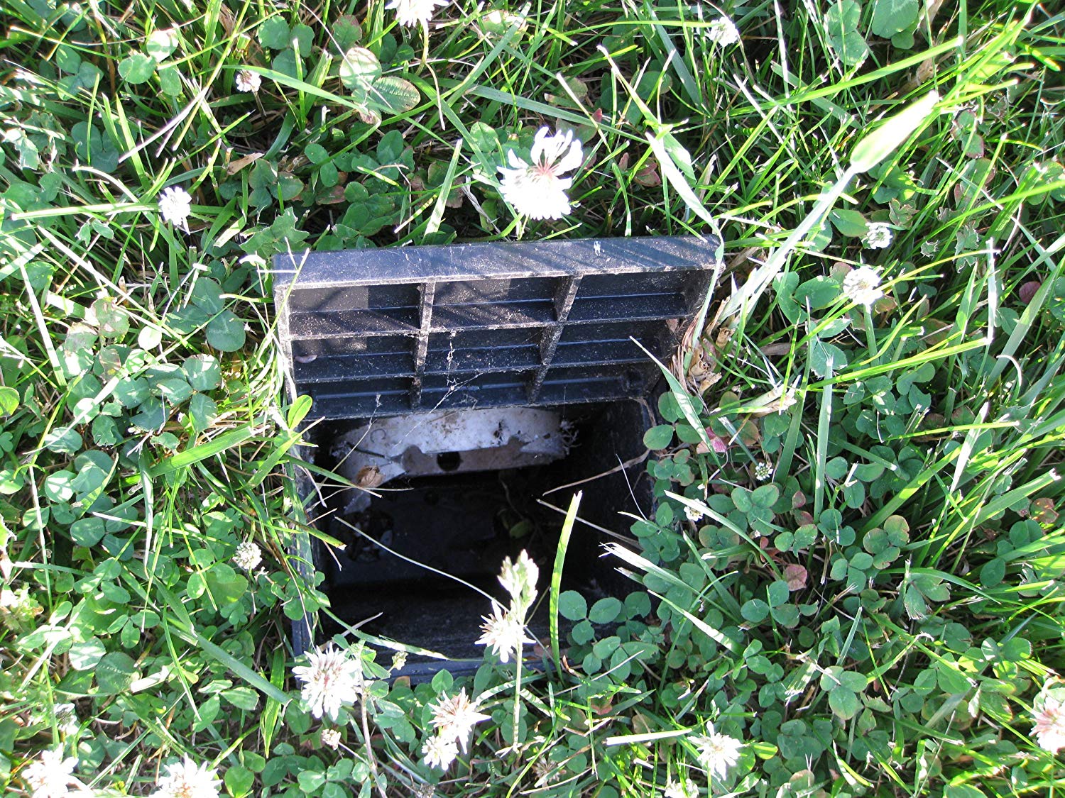 Landscape Drain Box